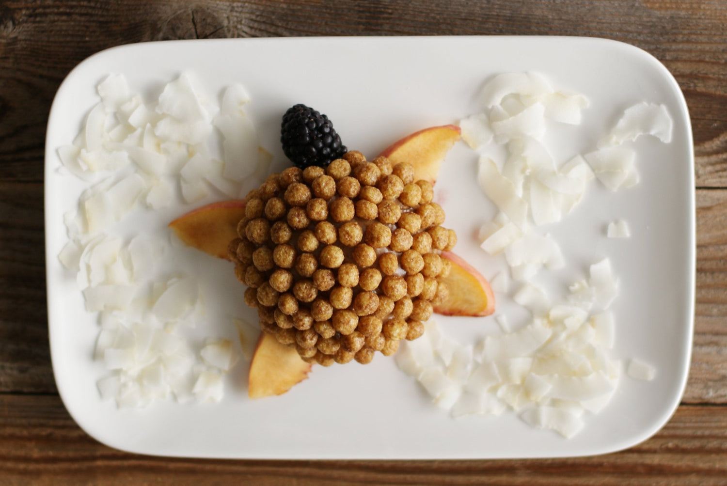 Cereal Sea Turtle – Nature's Path