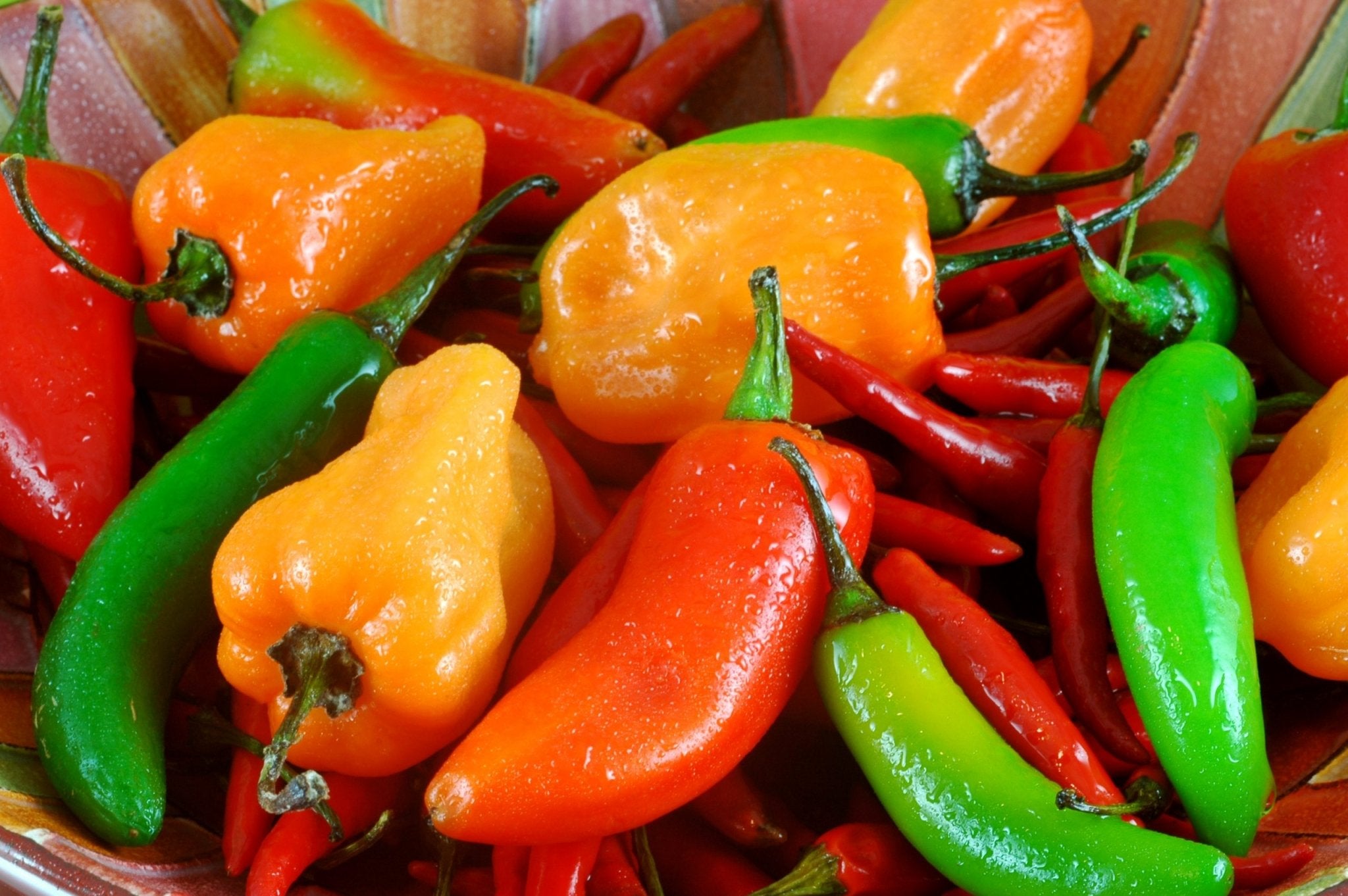 How to Cook with Fresh Chiles – Nature's Path