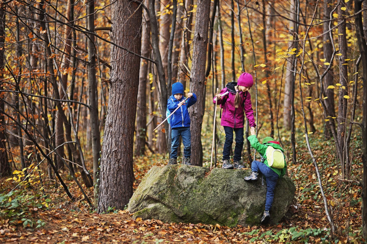Powerful Ways to Teach Kids About Climate Change – Nature's Path