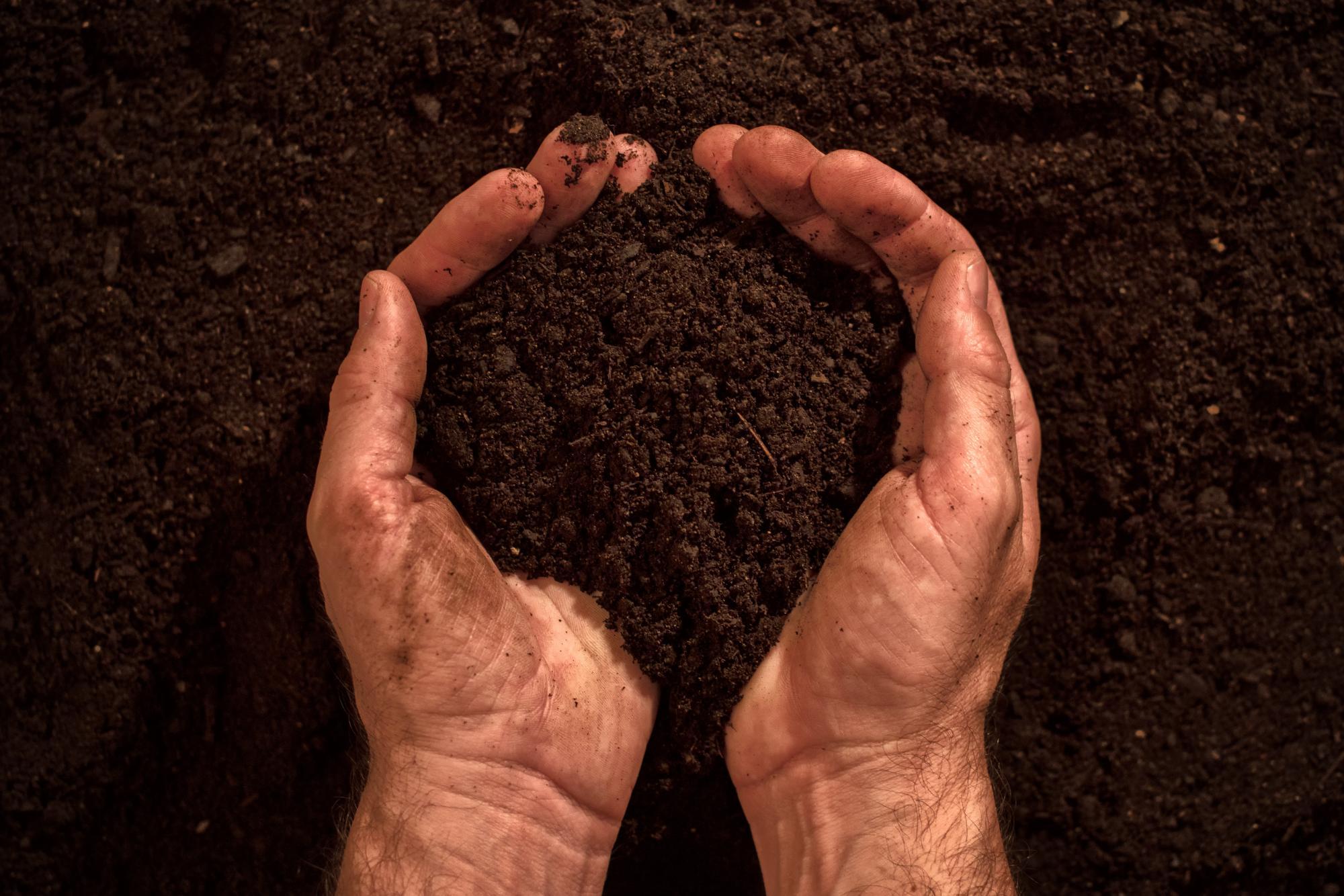 The Difference Between Soil and Dirt – Nature's Path