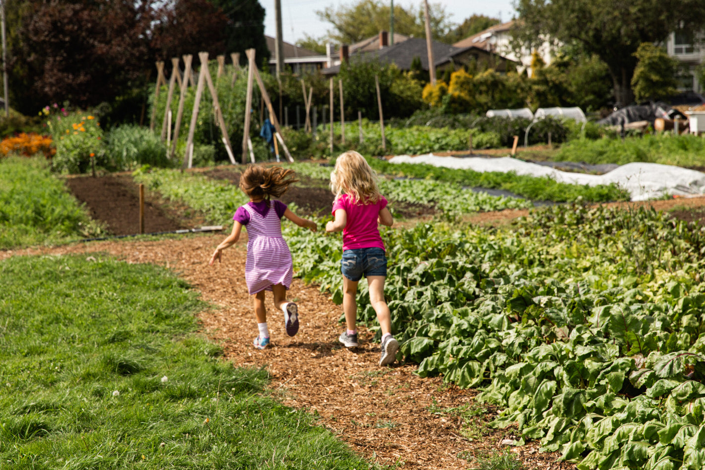 Gardens for Good | Nature's Path