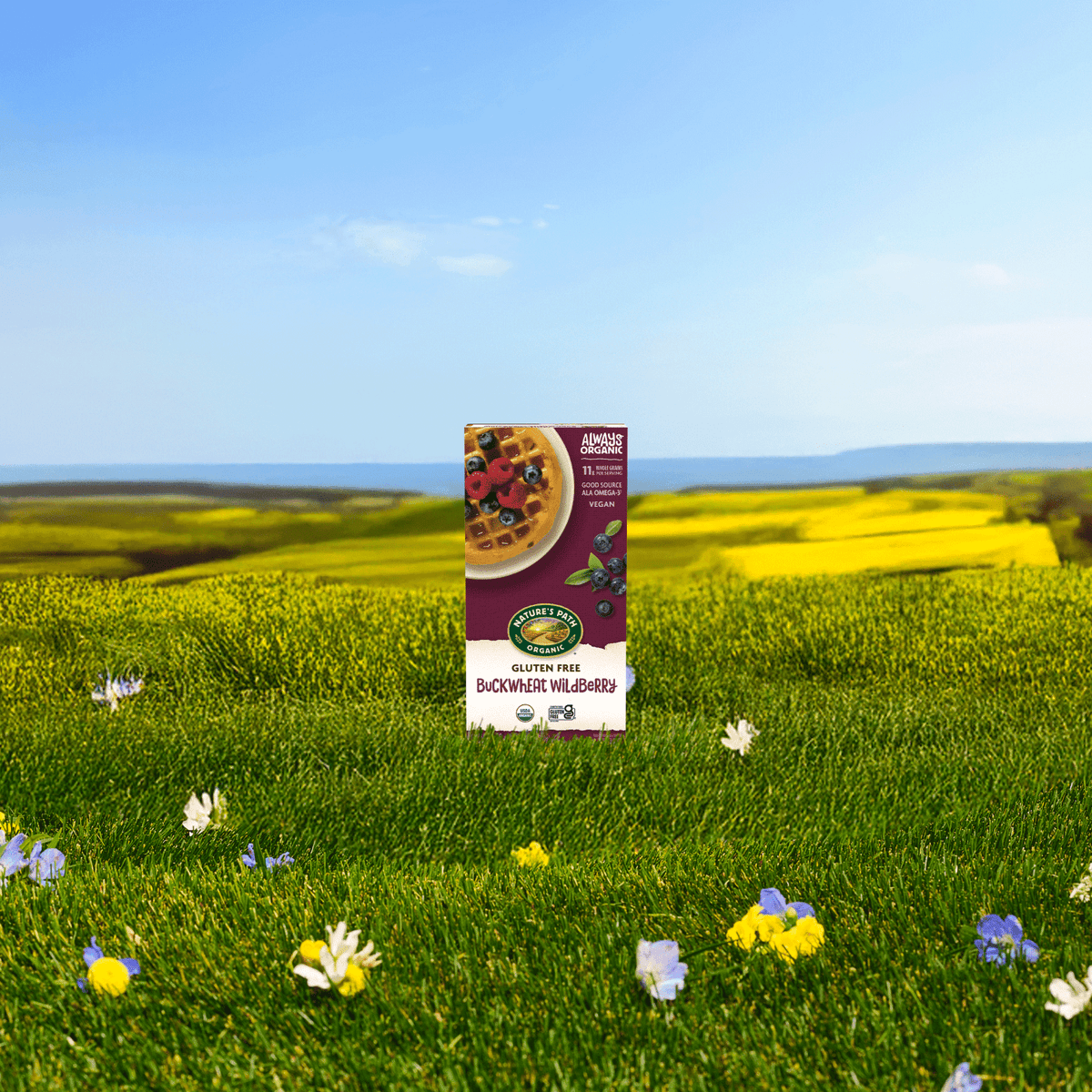 Organic Waffles: Best All Natural, Non-GMO, Healthy Waffles – Nature's Path