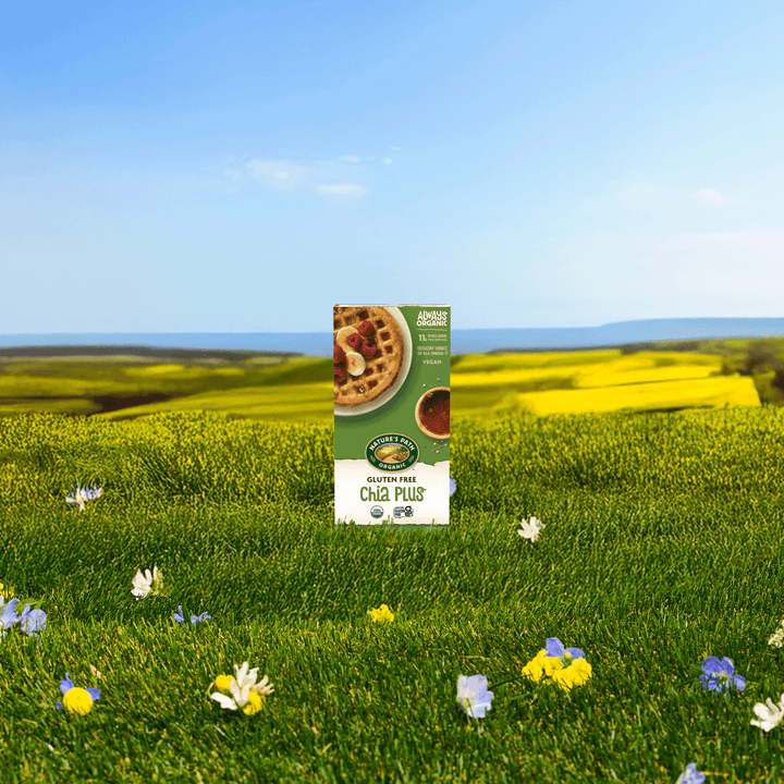 Organic Waffles: Best All Natural, Non-GMO, Healthy Waffles – Nature's Path