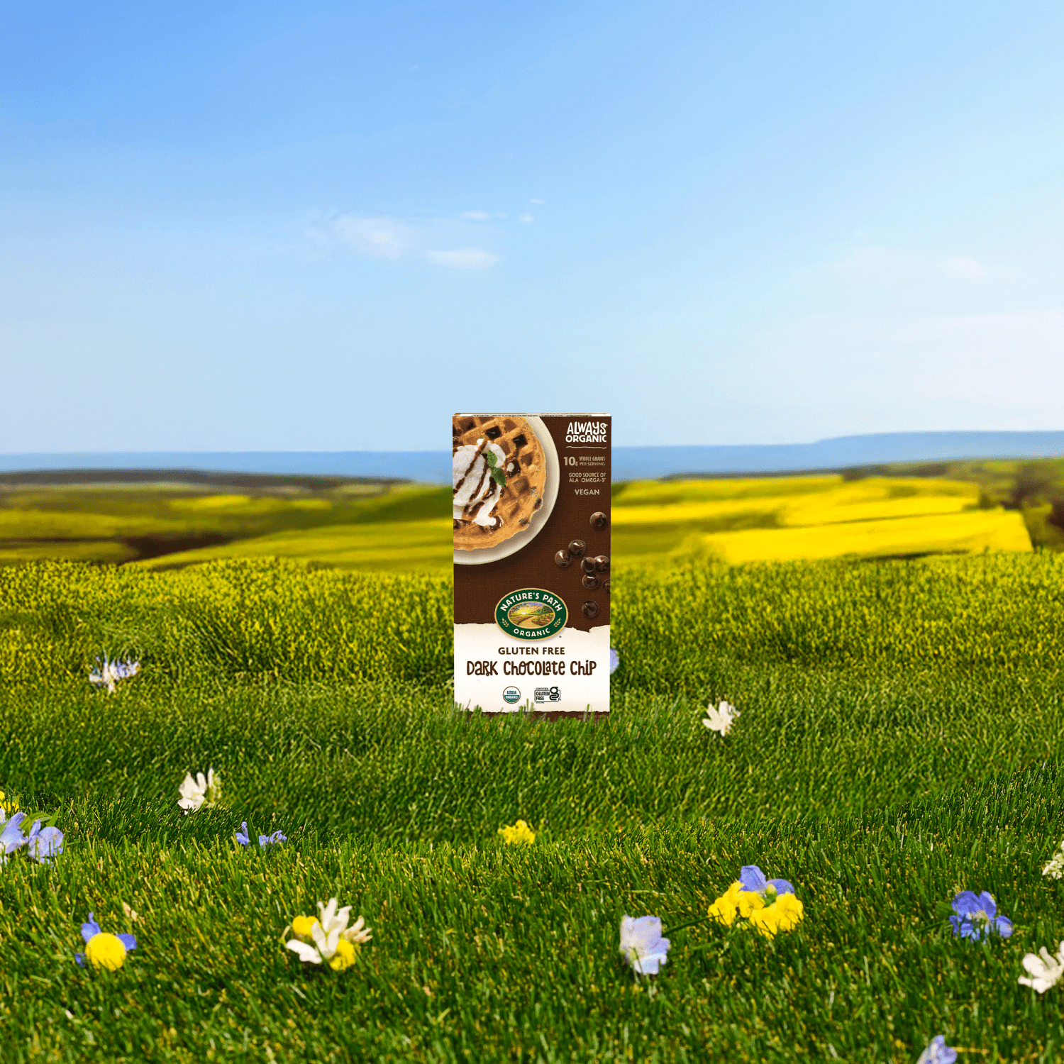 Organic Waffles: Best All Natural, Non-GMO, Healthy Waffles – Nature's Path