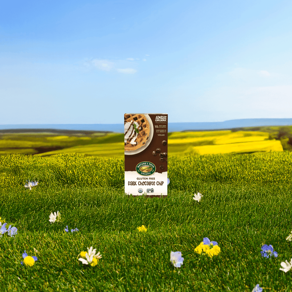 Organic Waffles: Best All Natural, Non-GMO, Healthy Waffles – Nature's Path