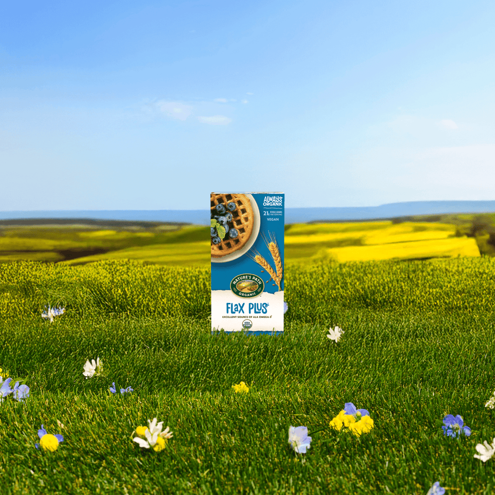 Organic Waffles: Best All Natural, Non-GMO, Healthy Waffles – Nature's Path