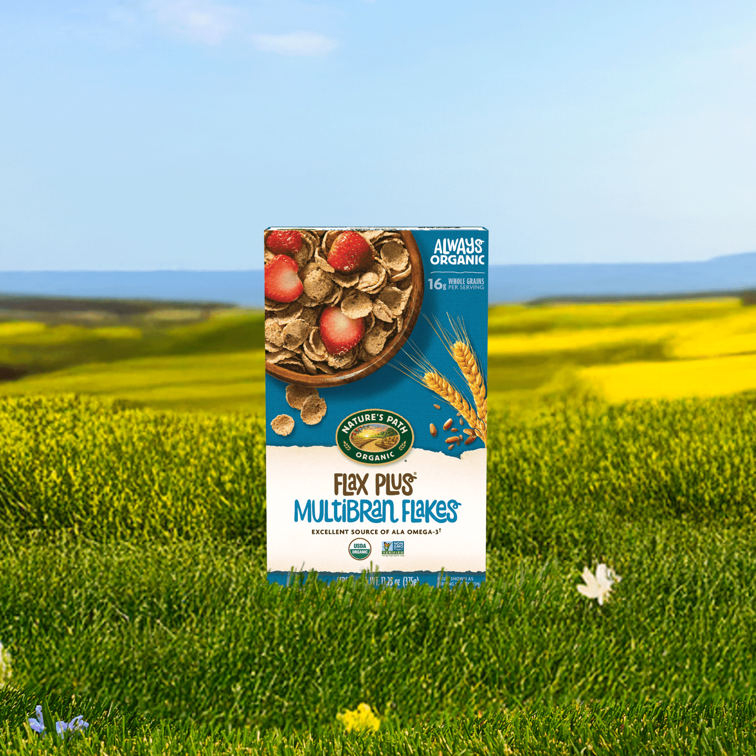 Flax Plus Multibran Flakes Cereal – Nature's Path