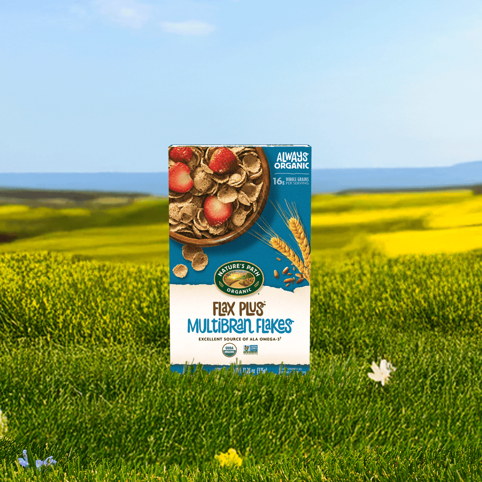Flax Plus Multibran Flakes Cereal – Nature's Path