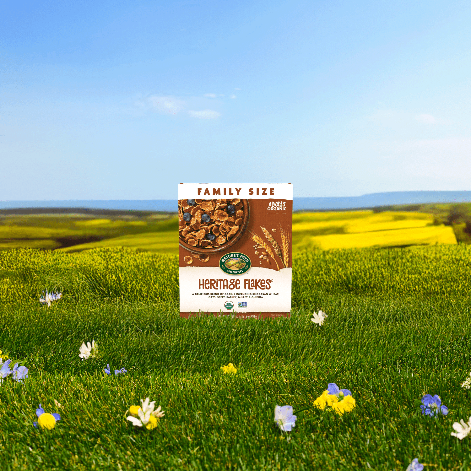Organic Cereal: Best All Natural, Non-GMO, Healthy Cereal – Nature's Path