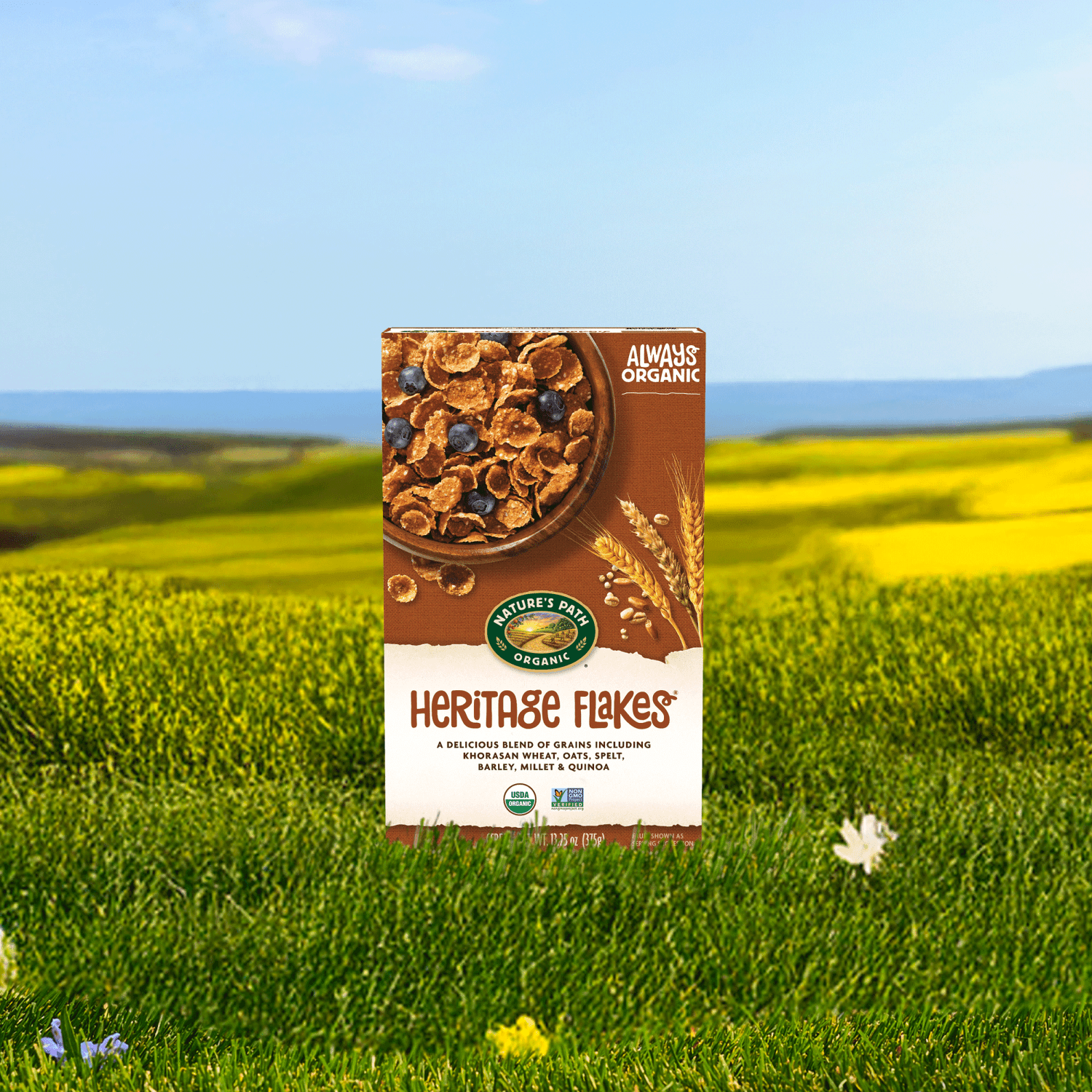 Heritage Flakes Cereal – Nature's Path
