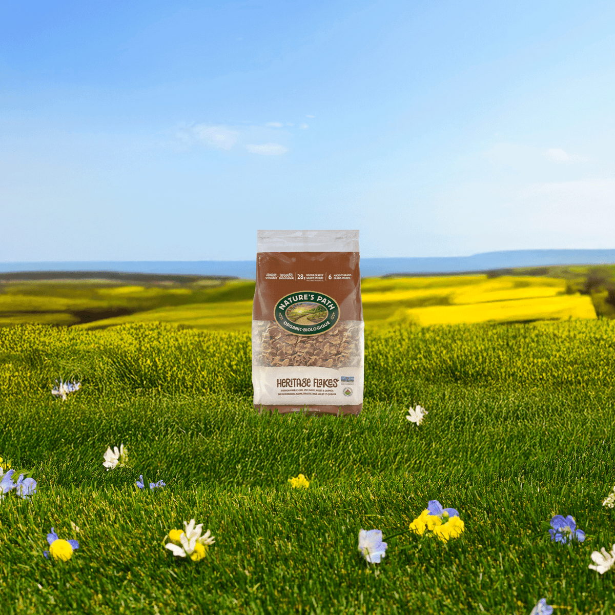 Multigrain Flakes Cereal – Nature's Path