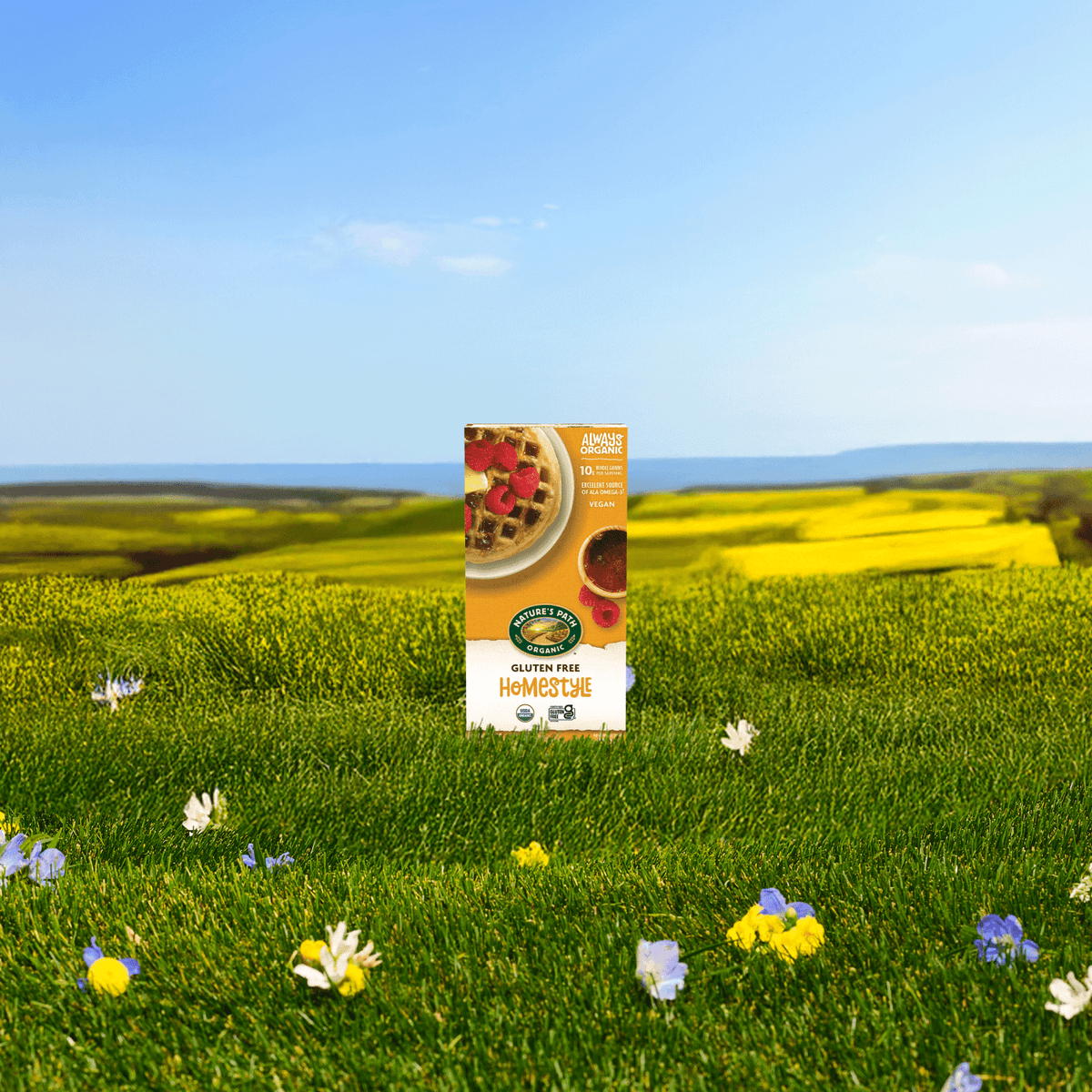 Organic Waffles: Best All Natural, Non-GMO, Healthy Waffles – Nature's Path