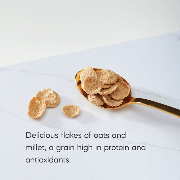 Nature's Path: Healthy Organic Breakfast and Snack Foods