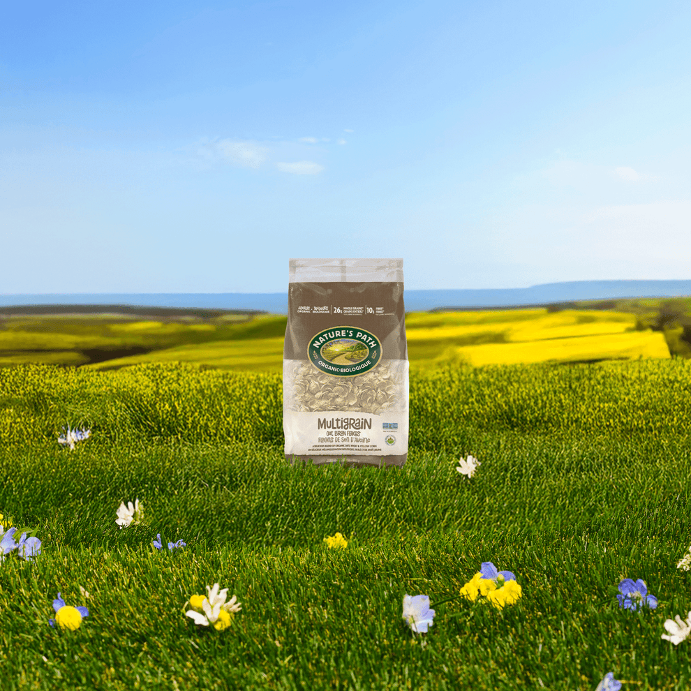 Multigrain Flakes Cereal – Nature's Path