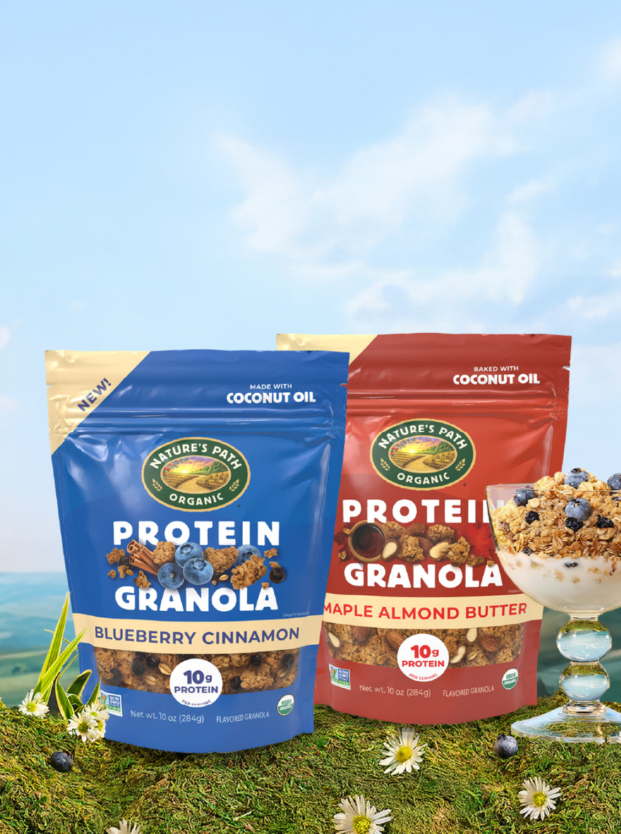 Organic Granola: Best All Natural, Non-GMO, Healthy Granola – Nature's Path