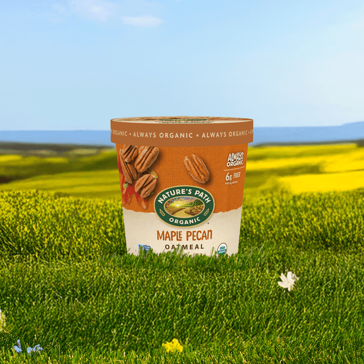 Organic Oatmeal: Best All Natural, Non-GMO, Healthy Oatmeal – Nature's Path