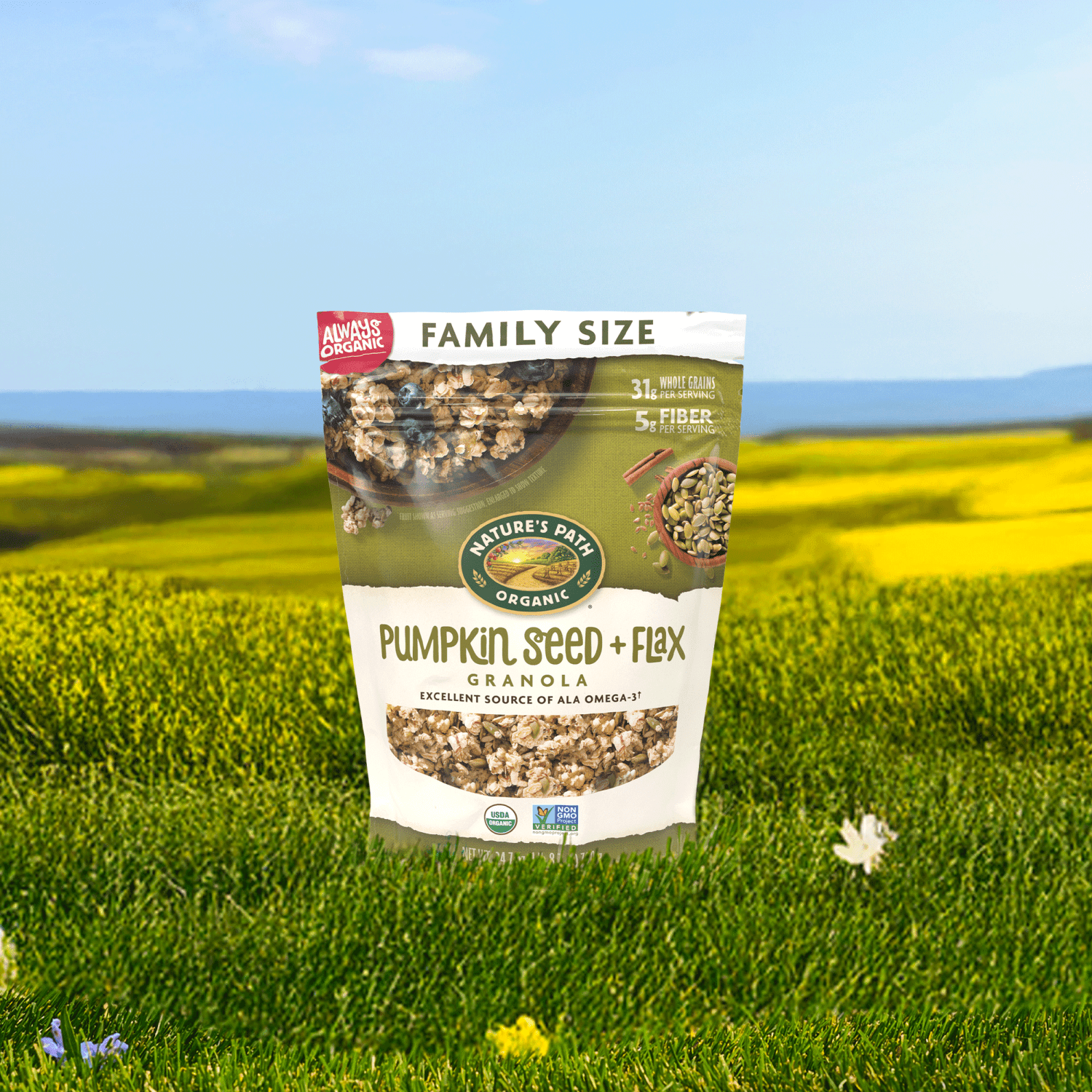 Organic Granola: Best All Natural, Non-GMO, Healthy Granola – Nature's Path