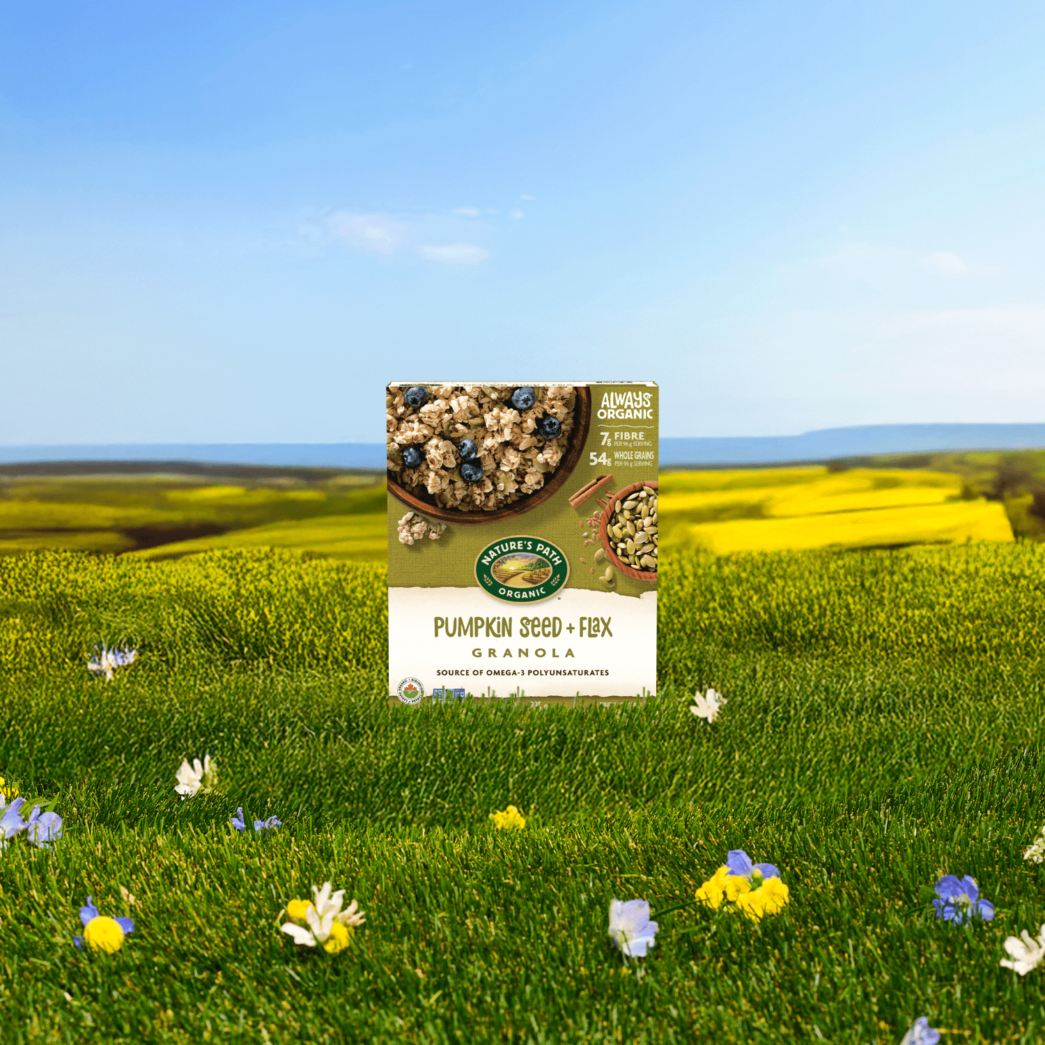 Pumpkin Seed + Flax Granola – Nature's Path