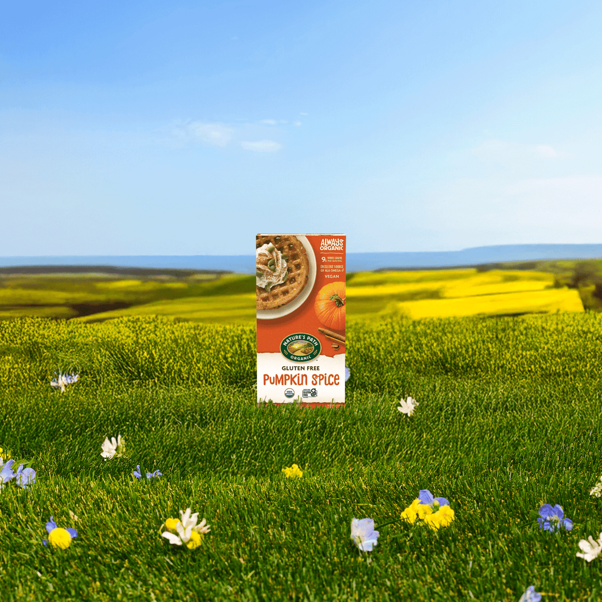 Organic Waffles: Best All Natural, Non-GMO, Healthy Waffles – Nature's Path