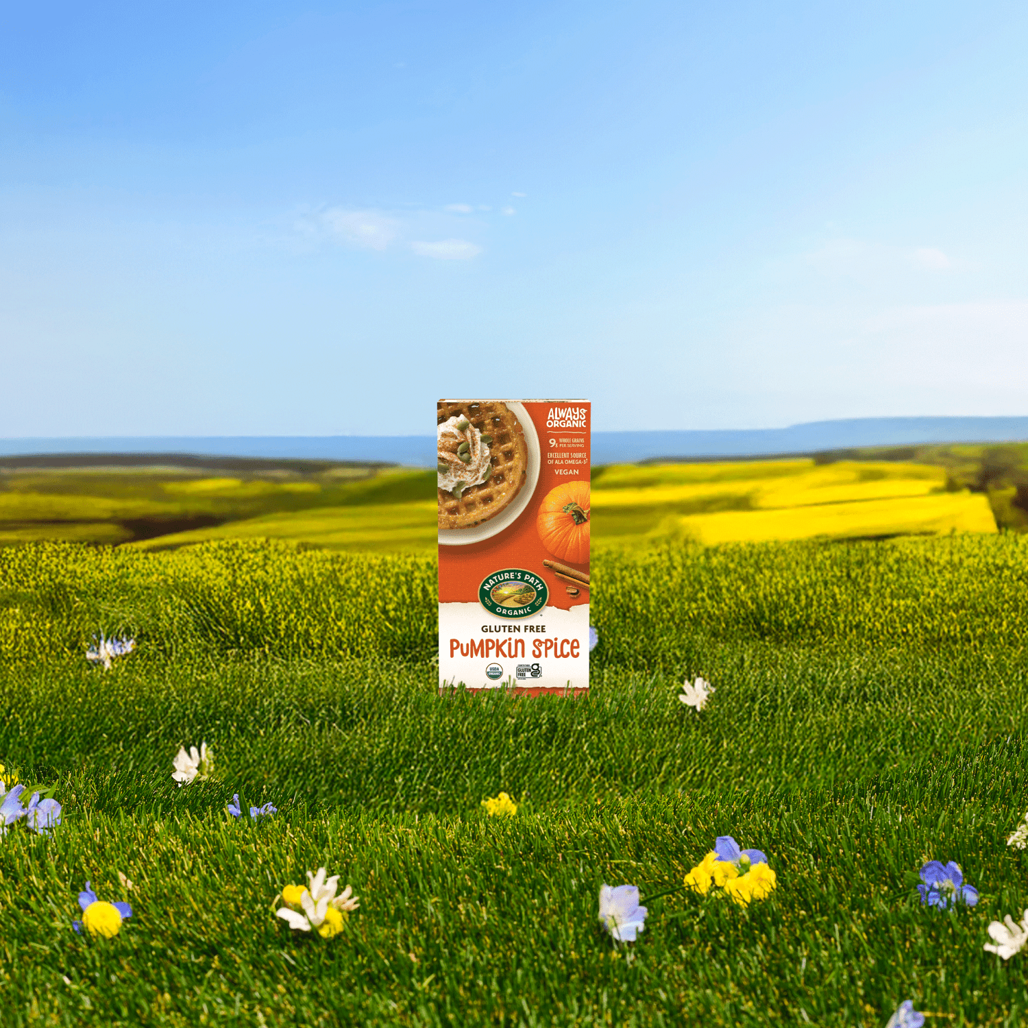 Organic Waffles: Best All Natural, Non-GMO, Healthy Waffles – Nature's Path