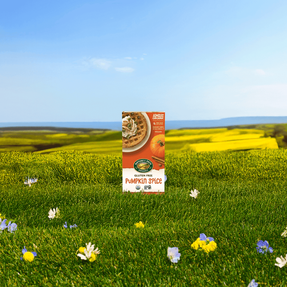 Organic Waffles: Best All Natural, Non-GMO, Healthy Waffles – Nature's Path
