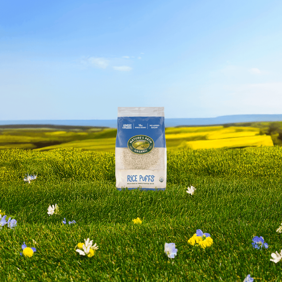 Rice Puffs Cereal – Nature's Path