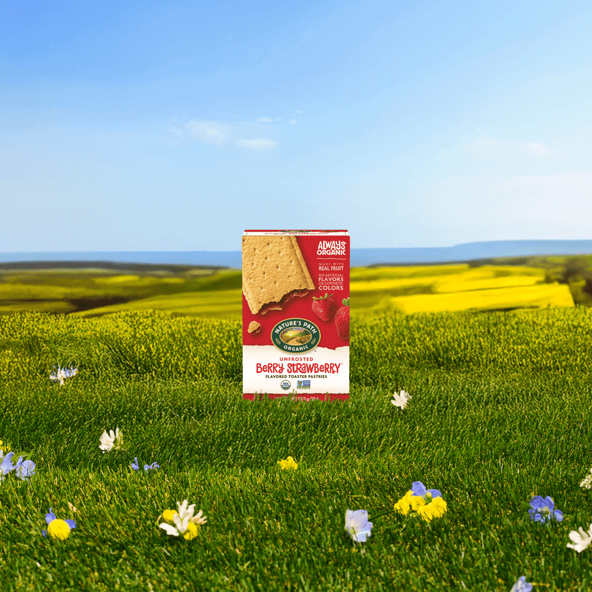 Organic Toaster Pastries: Best Natural, Healthy Toaster Pastries ...