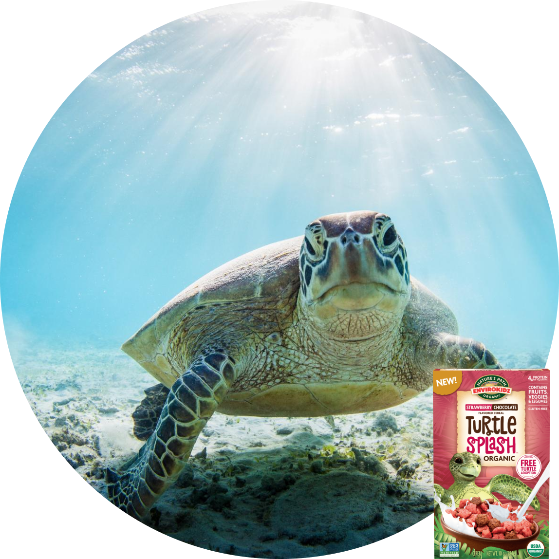 EnviroKidz | Organic Kids Cereal & More – Nature's Path