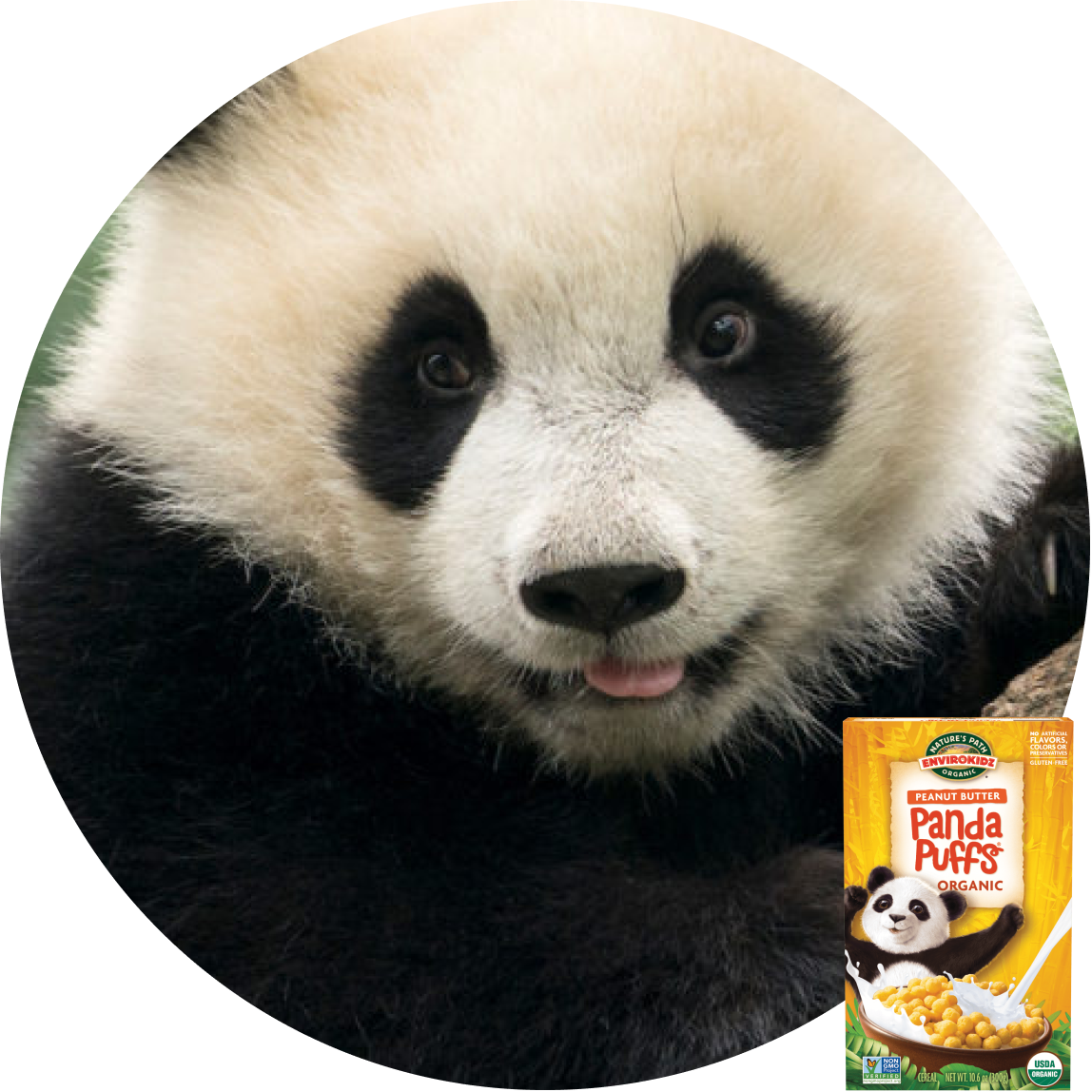 EnviroKidz Animals | Endangered and Vulnerable Animals – Nature's Path