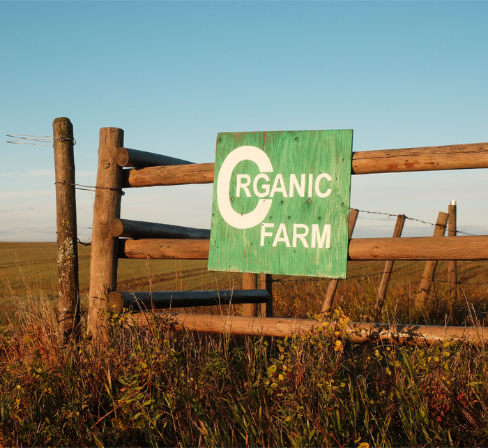 Nature’s Path Organic Foods Appoints Laura S. Chamberlain as Chief Cus ...